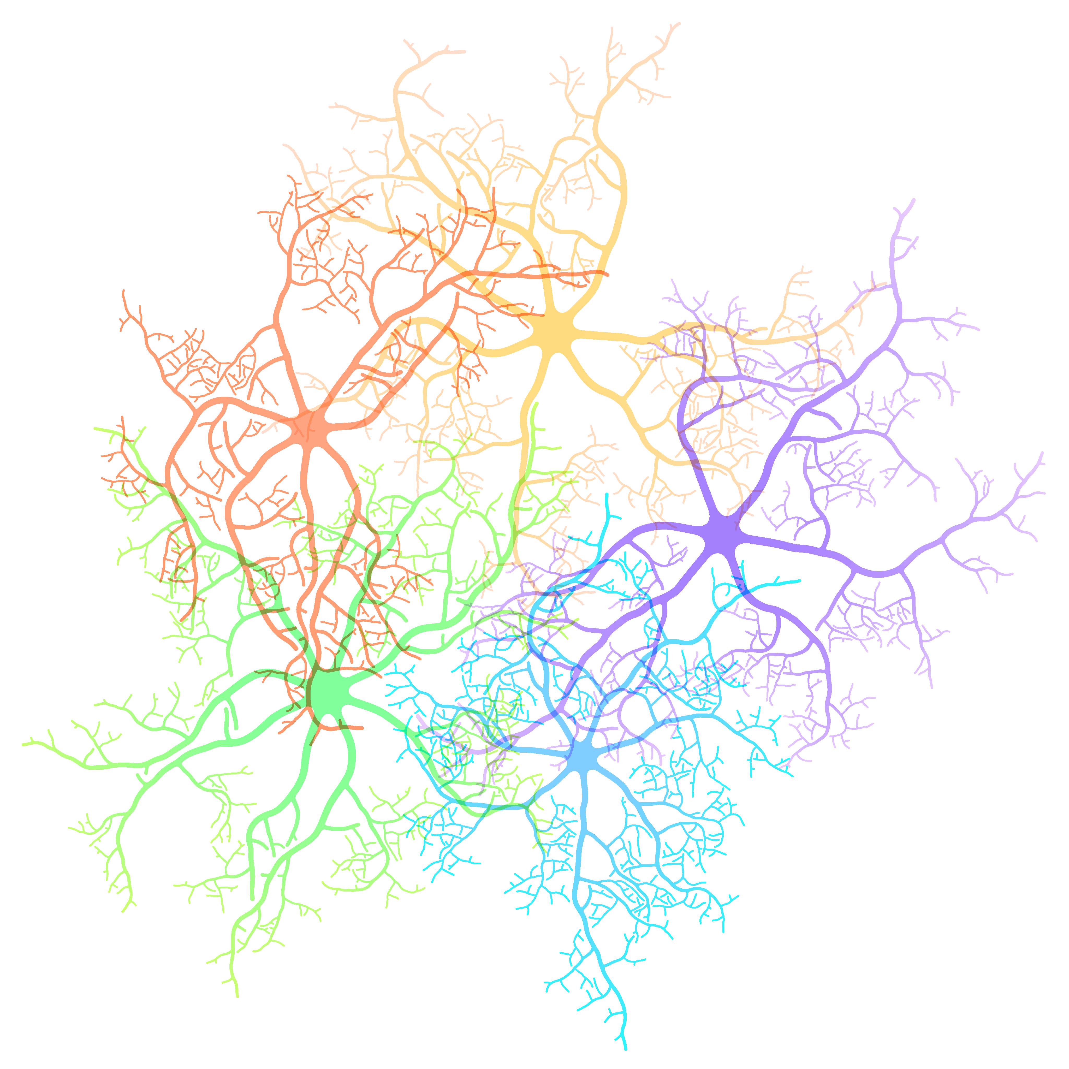 Branching Studies ♥ 1cm